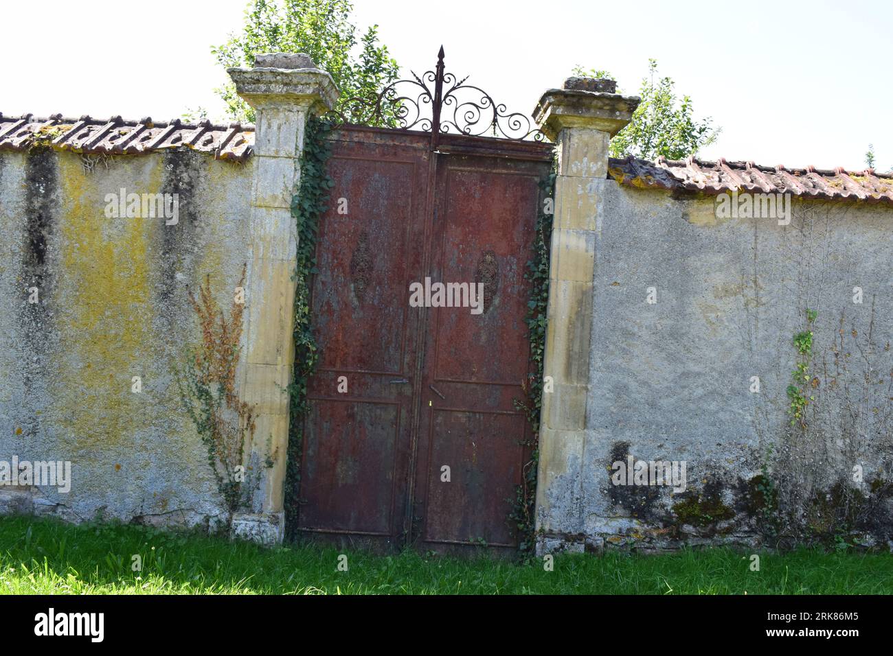 rusty gate with ivy Stock Photo - Alamy
