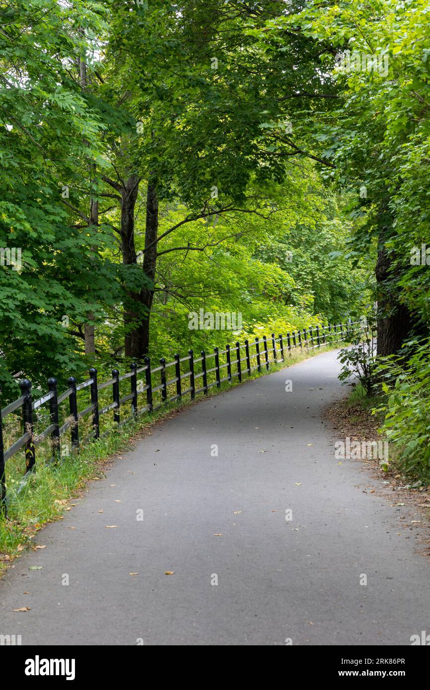 An outdoor paved pathway in a lush park setting, surrounded by tall ...