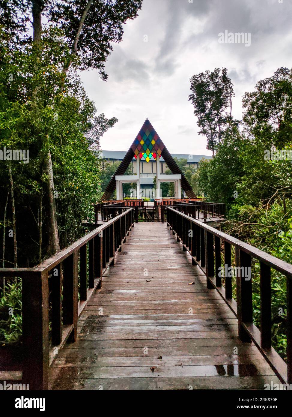Trees in klang hi-res stock photography and images - Alamy