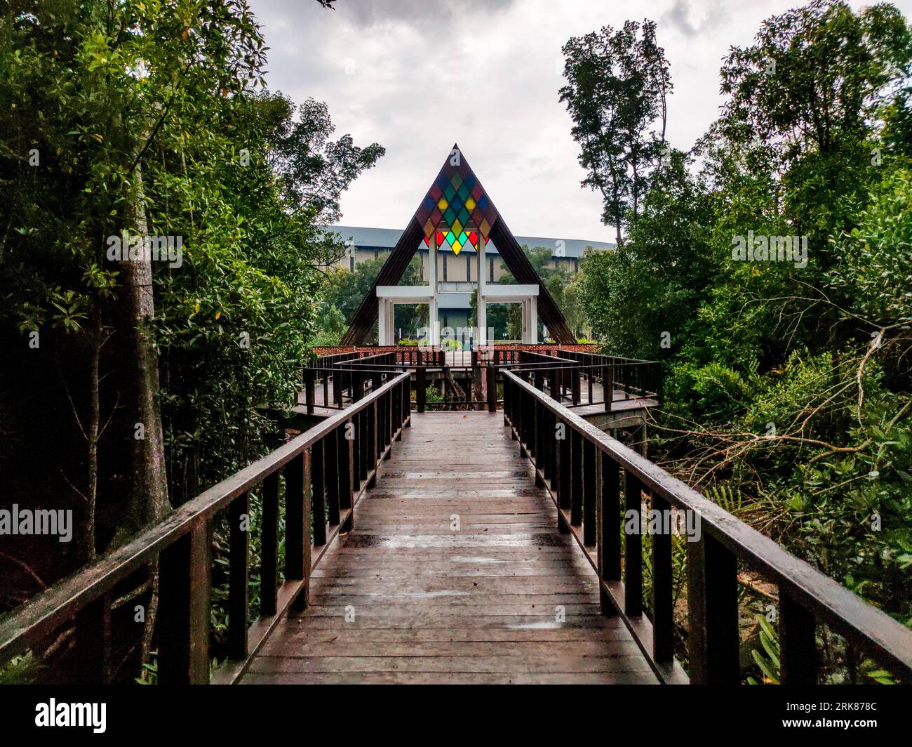 A scenic view of the mangrove point surrounded by trees in Klang ...