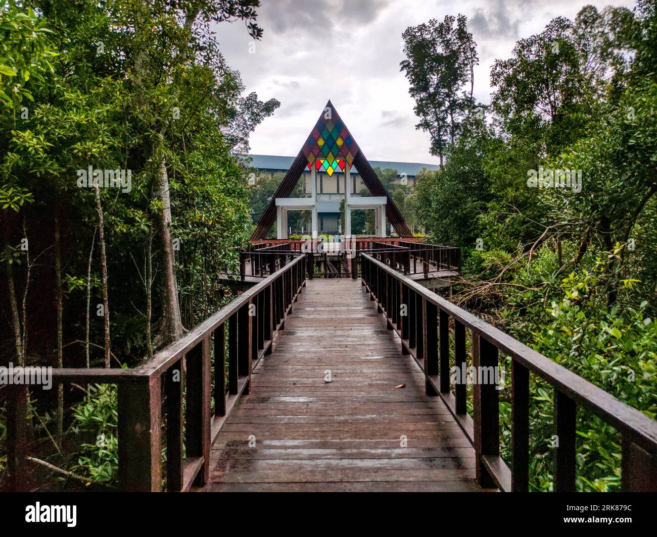 A scenic view of the mangrove point trees in Klang Selangor, with lush ...