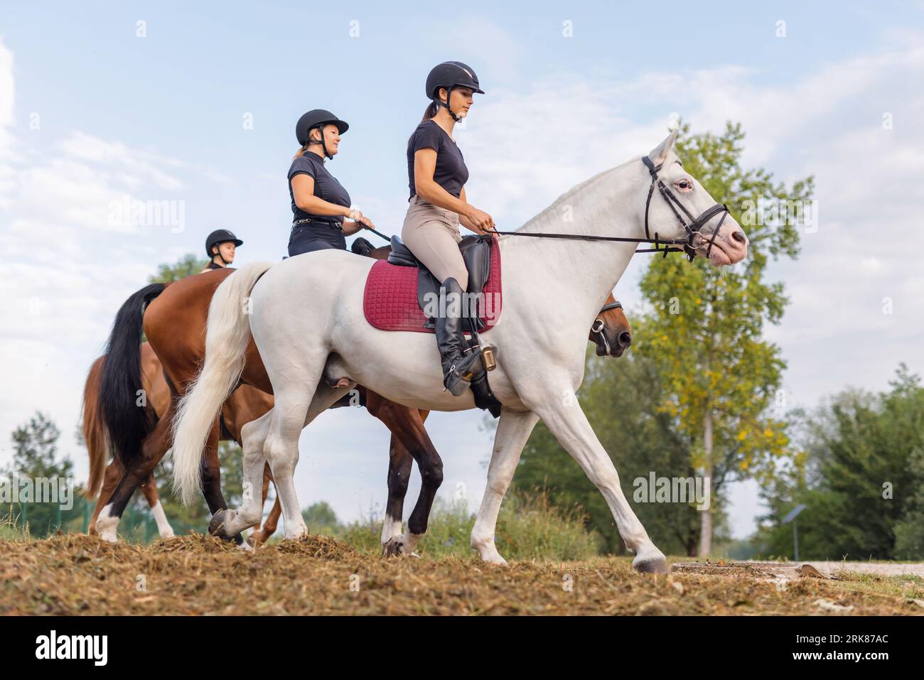 Horsewomen riding beautiful horses along the trail at the equestrian ...