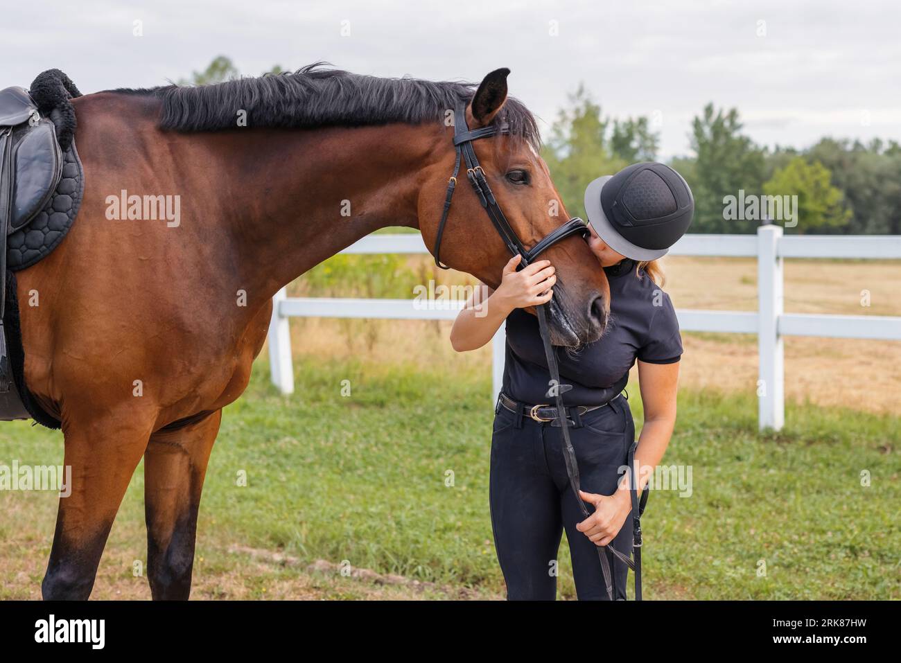 Female rider hand gently caressing beautiful thick red horse mane ...