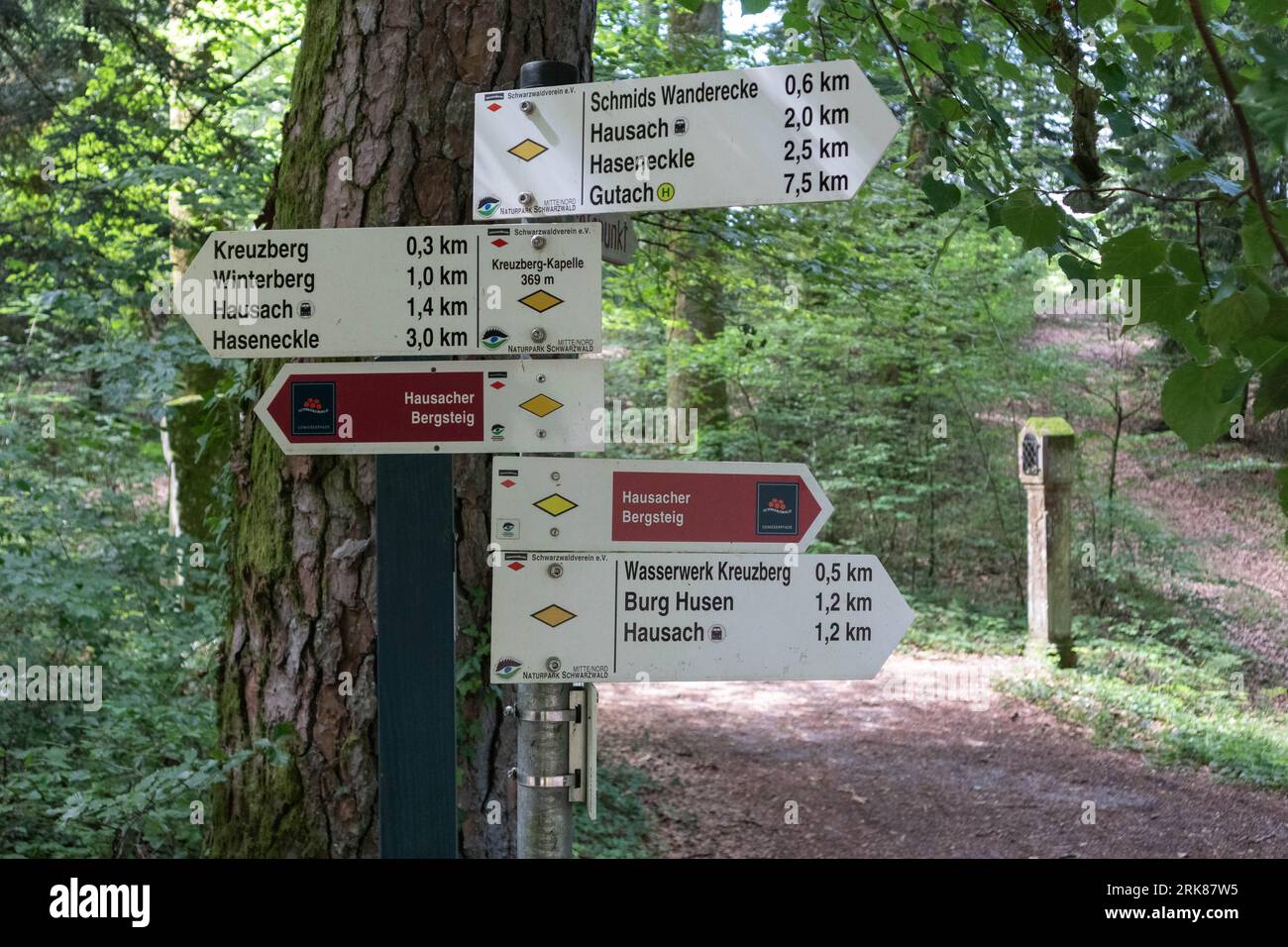 Signs for hiking routes in the scenic Black Forest region of Germany ...