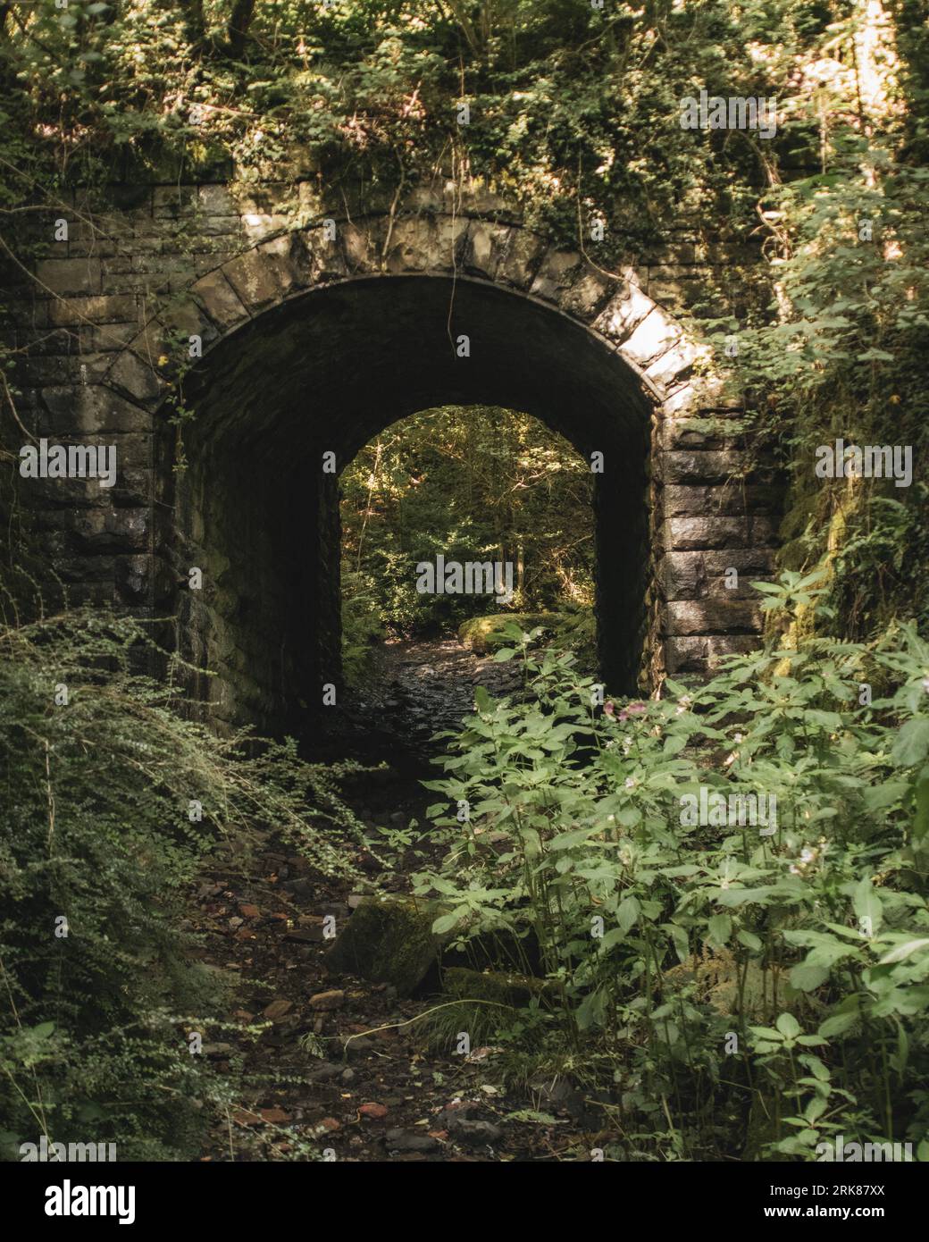 A view of an ancient stone tunnel nestled among the lush foliage of a ...