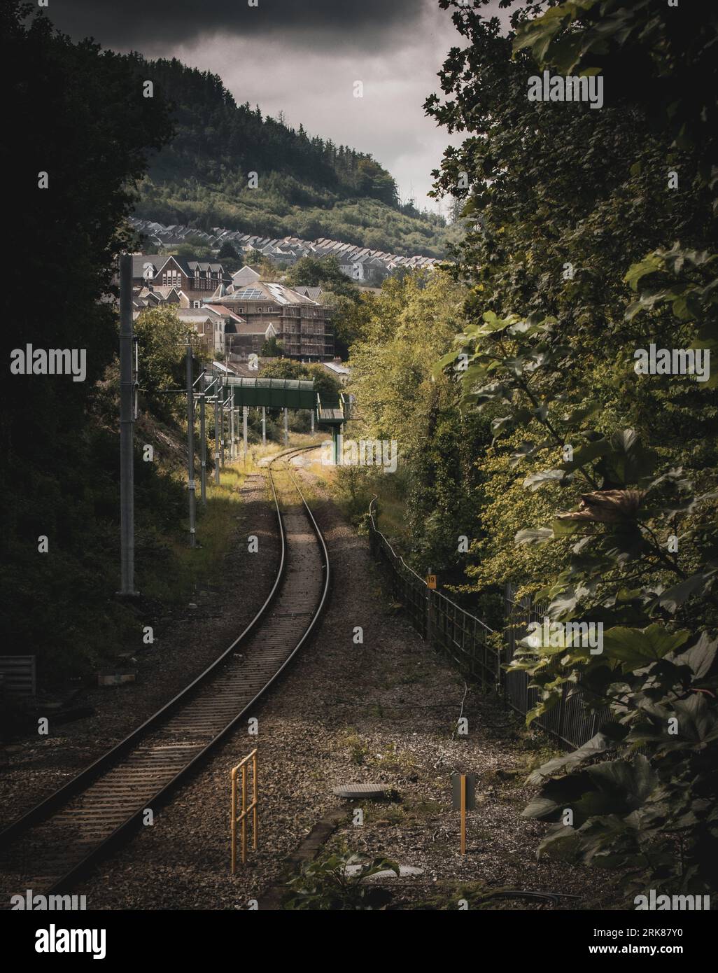 A scenic view of a railway line passing through a lush green forest in ...
