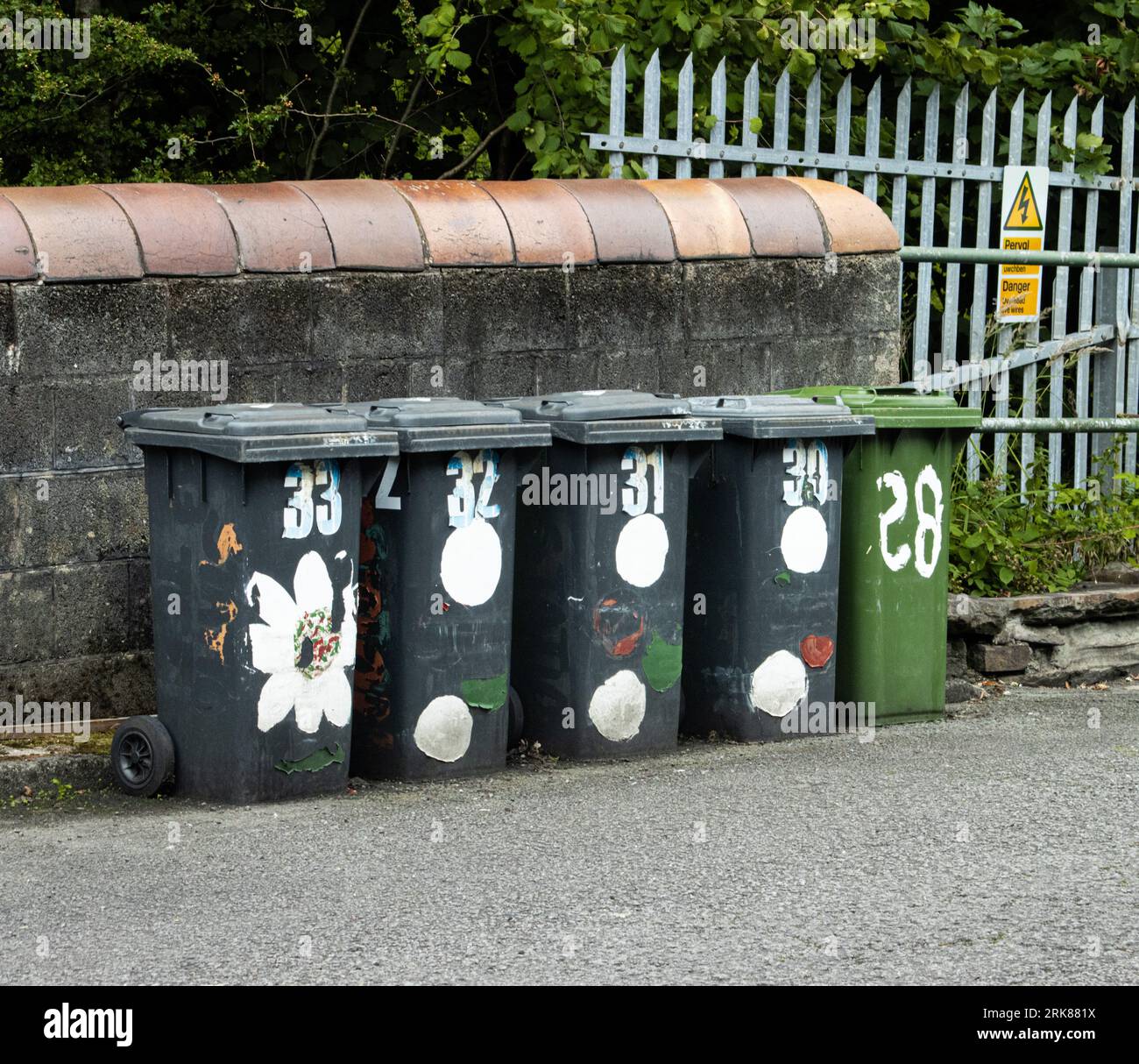 An array of wheeled trash bins in various colors, neatly lined up in a ...