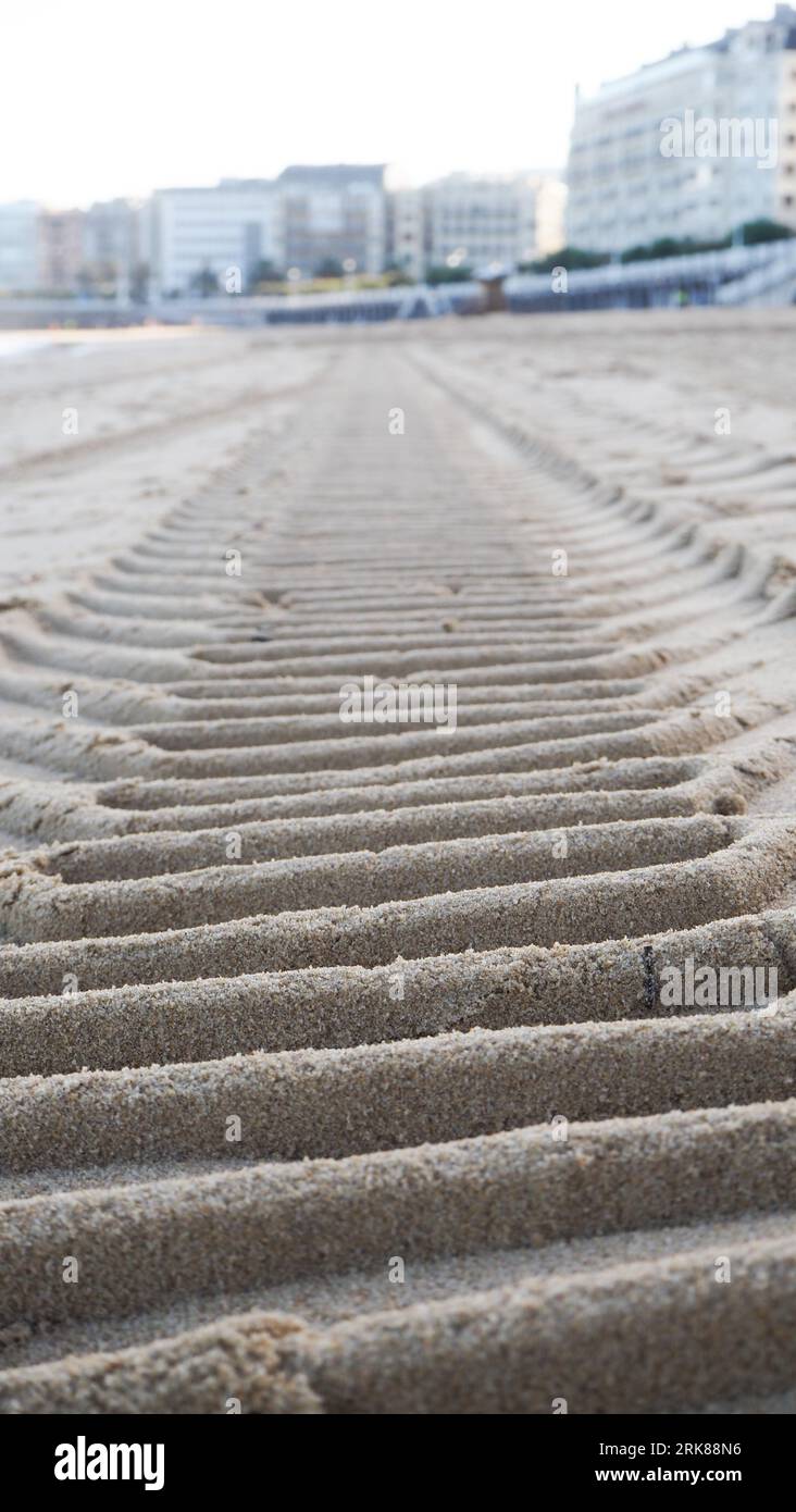 A scenic beach scene featuring pristine sand dotted with circles of ...