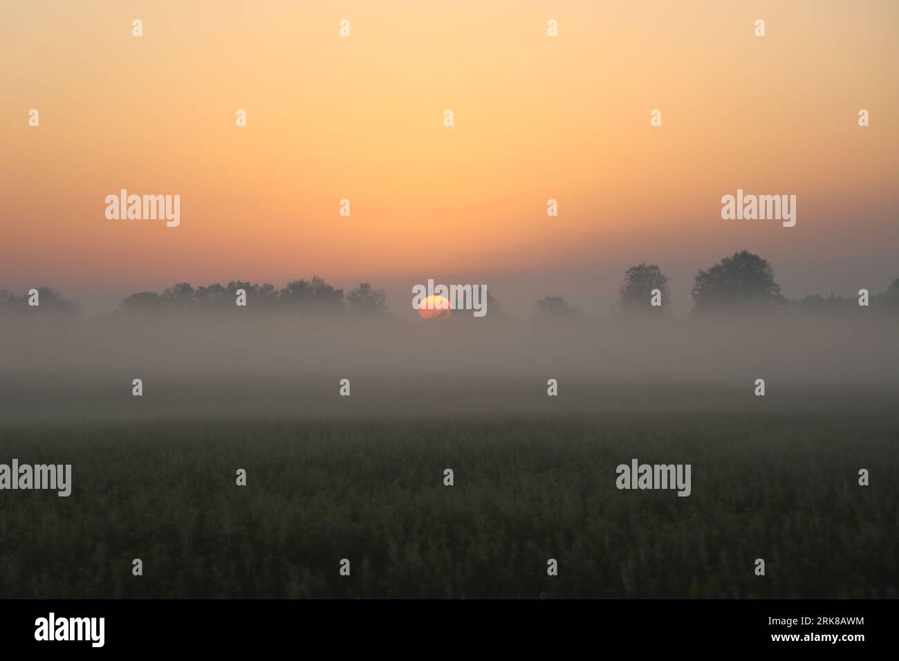 Foggy sunny morning /new day Stock Photo - Alamy