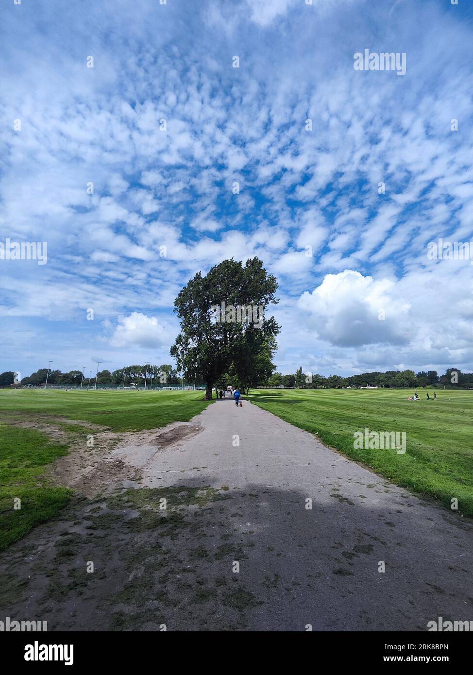 A scenic view of a path winding its way through a grassy park as the ...