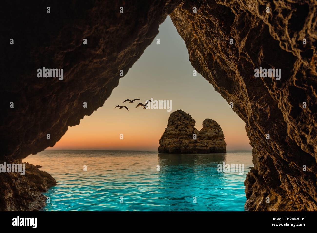A group of birds in flight in a coastal cave, overlooking the ...