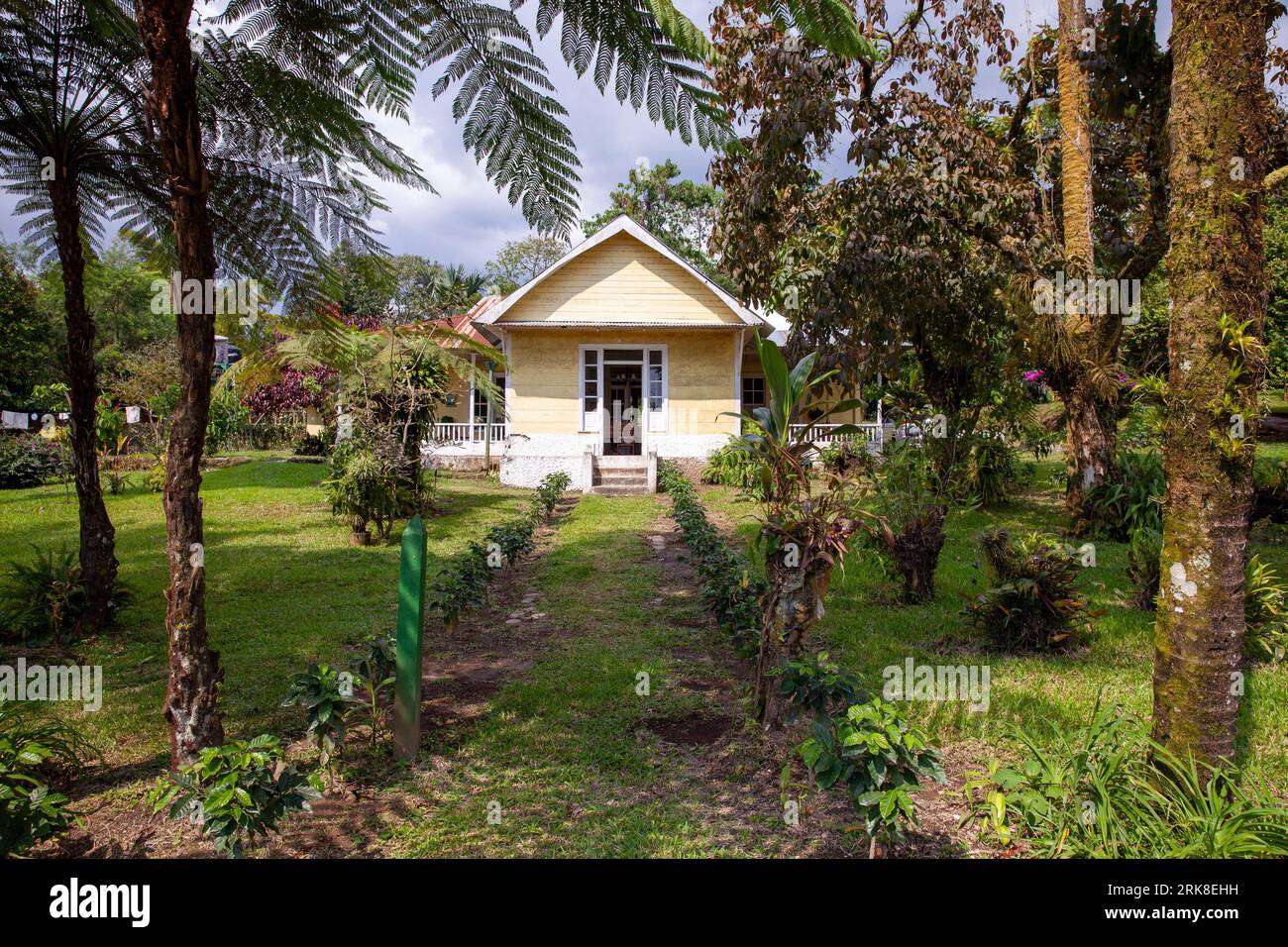 Farm house trees hi-res stock photography and images - Alamy