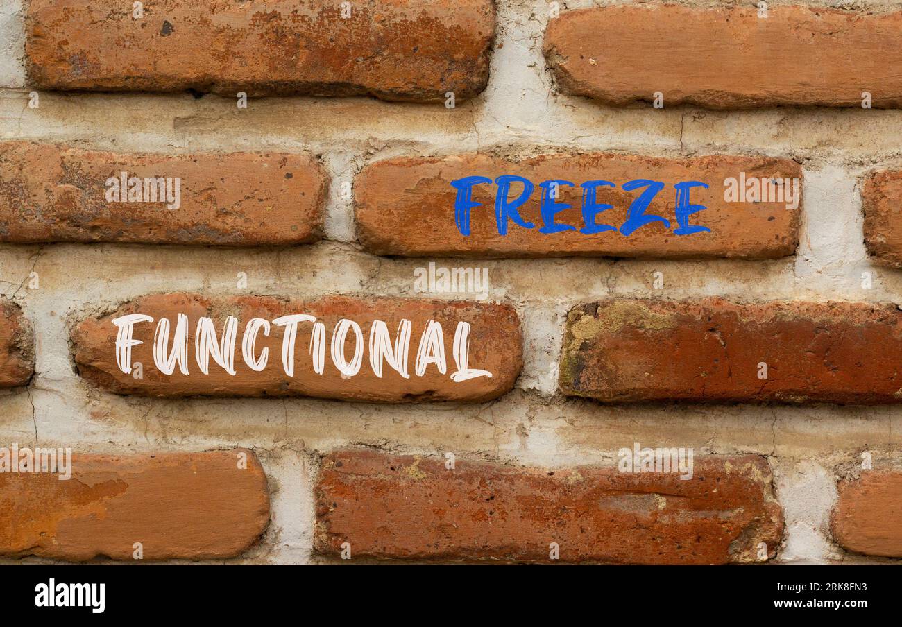 Functional freeze symbol. Concept words Functional freeze on beautiful ...