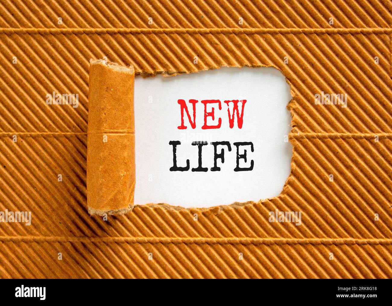 New life symbol. Concept words New life on wooden blocks on beautiful ...