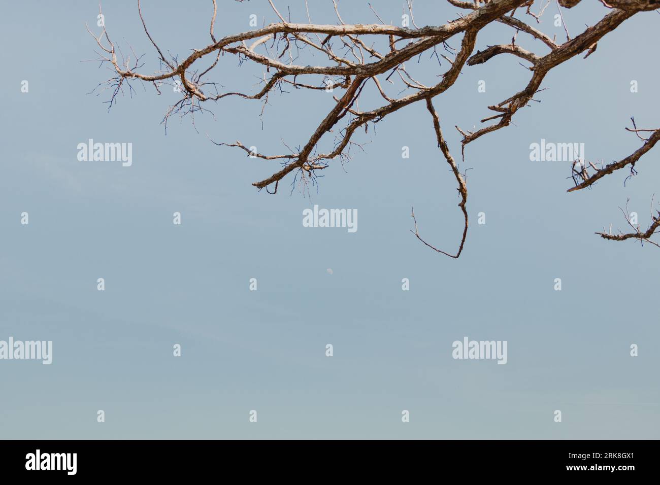 Sinister environment hi-res stock photography and images - Alamy