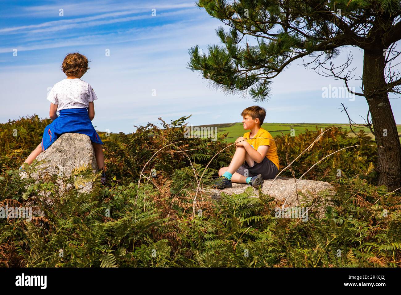 Two children sit on rocks under a Monterey Pine Tree in Sacred ...