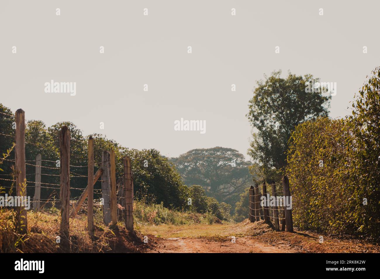 Landscape view dirt rural road hi-res stock photography and images - Alamy