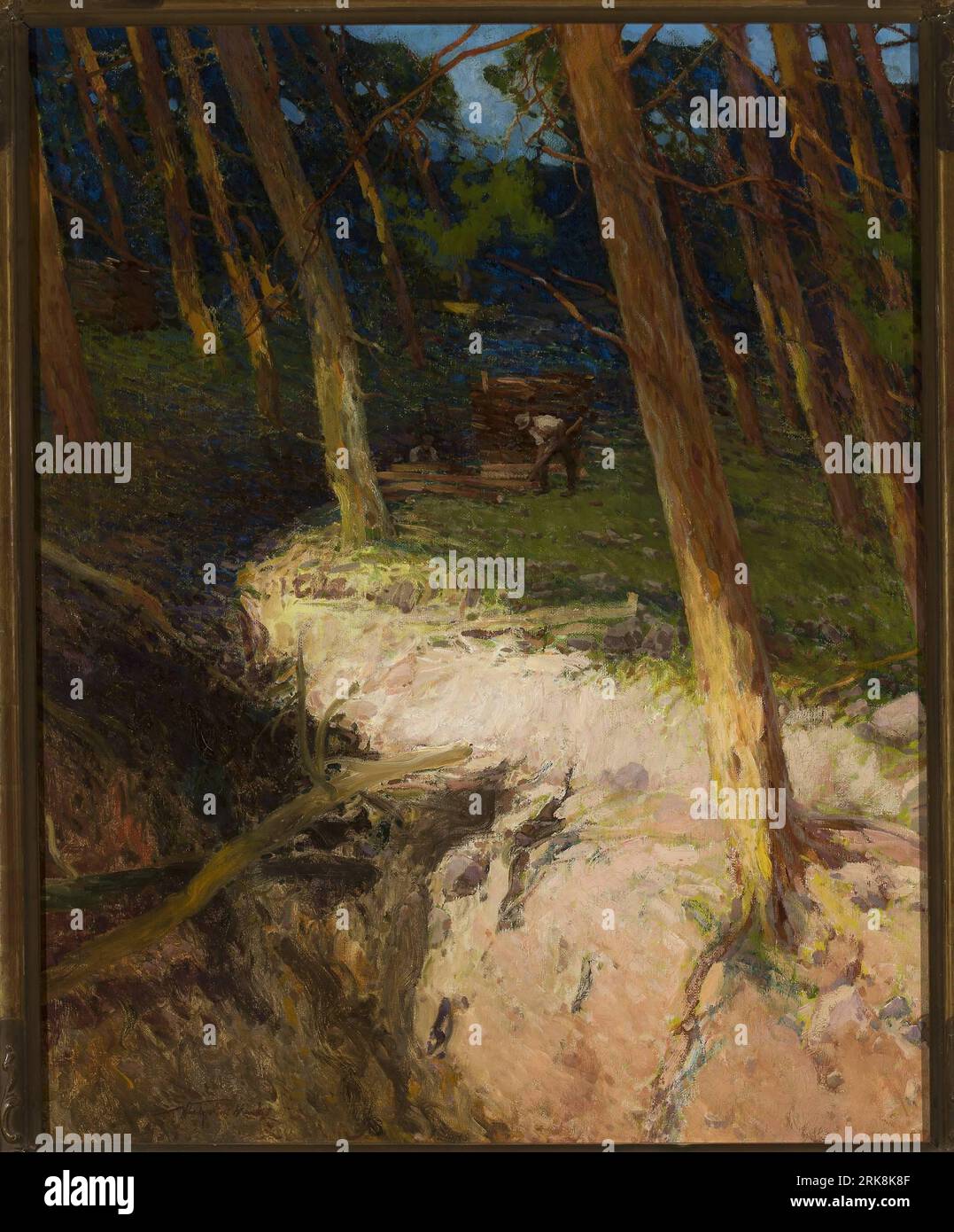 Wankie hi-res stock photography and images - Alamy