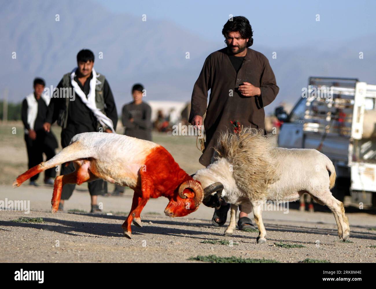Ram fighting hi-res stock photography and images - Alamy