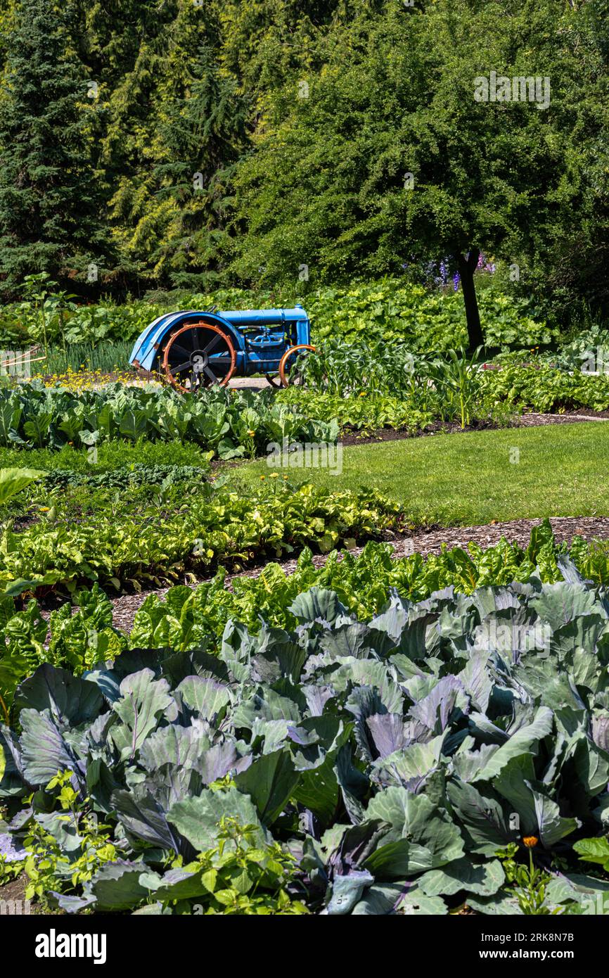 Van Dusen Botanical Garden in Vancouver Stock Photo - Alamy