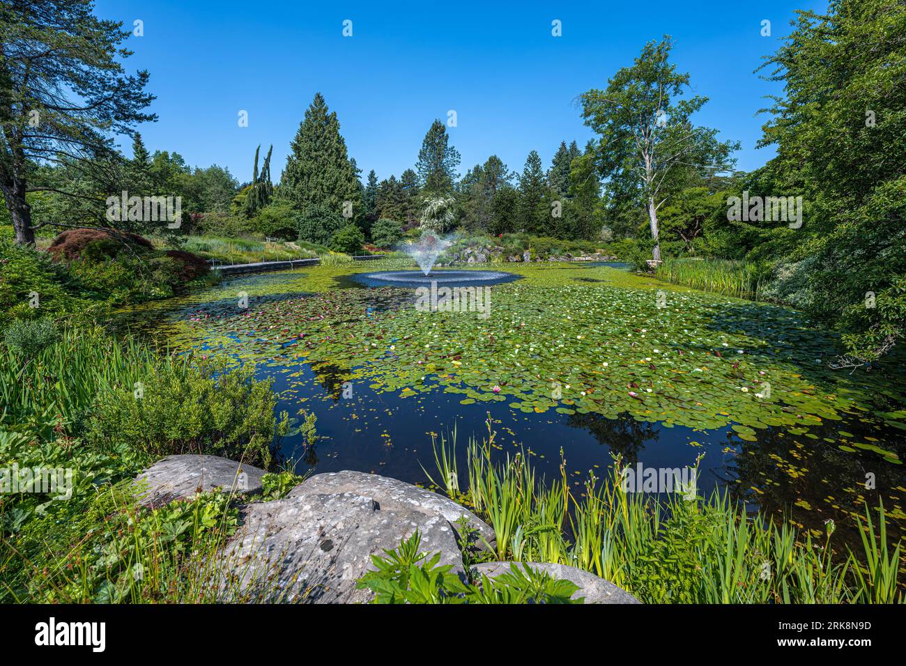 Van Dusen Botanical Garden in Vancouver Stock Photo - Alamy
