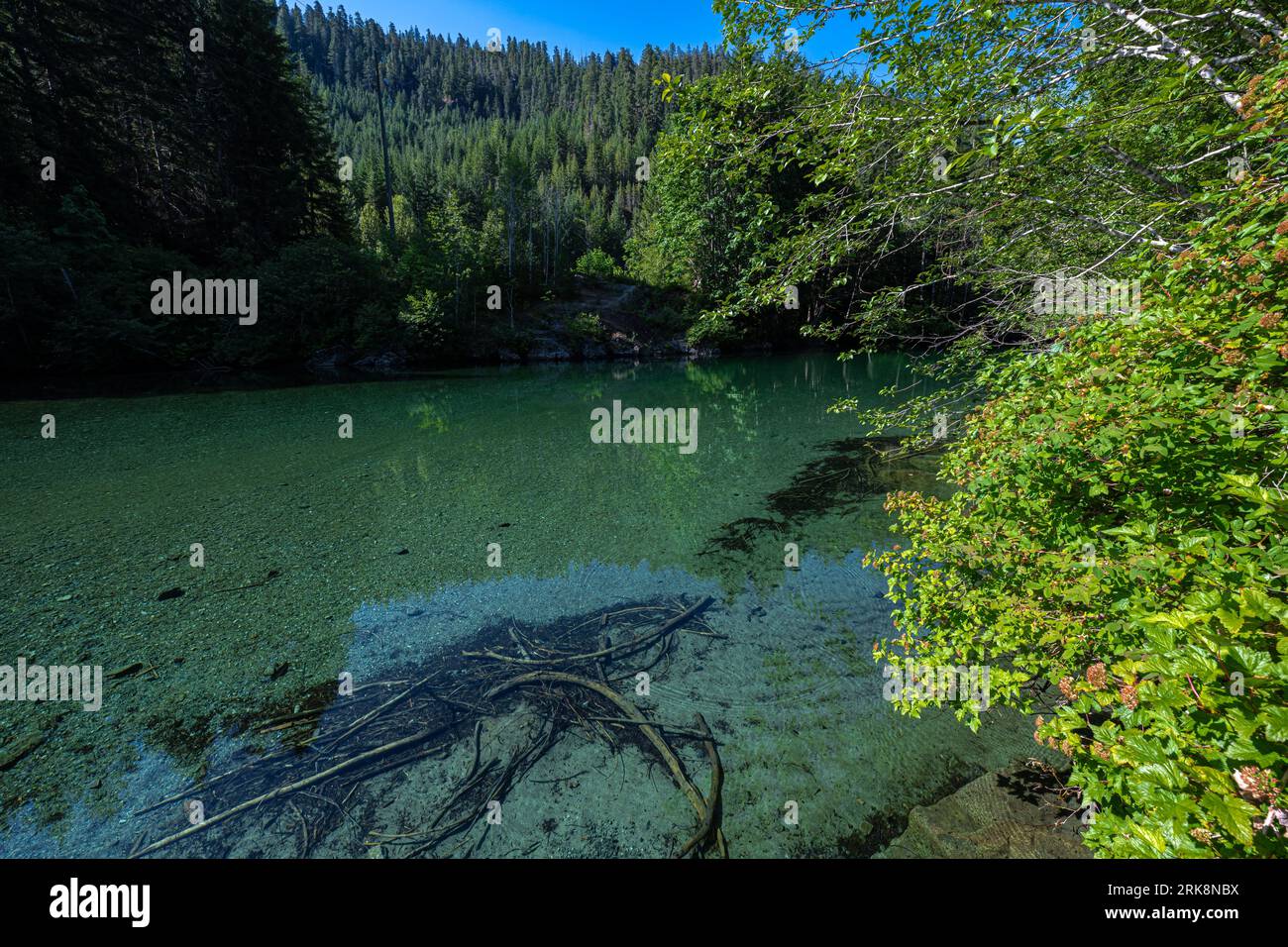 Taylor River Rest Area on Vancouver Island Stock Photo - Alamy