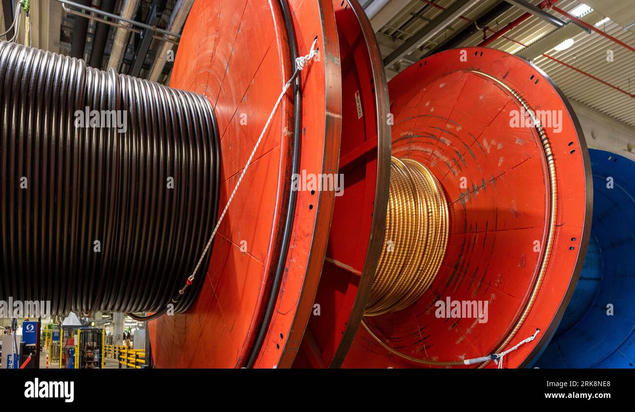 Cologne, Germany. 24th Aug, 2023. Cable drums with coiled sheathed and ...