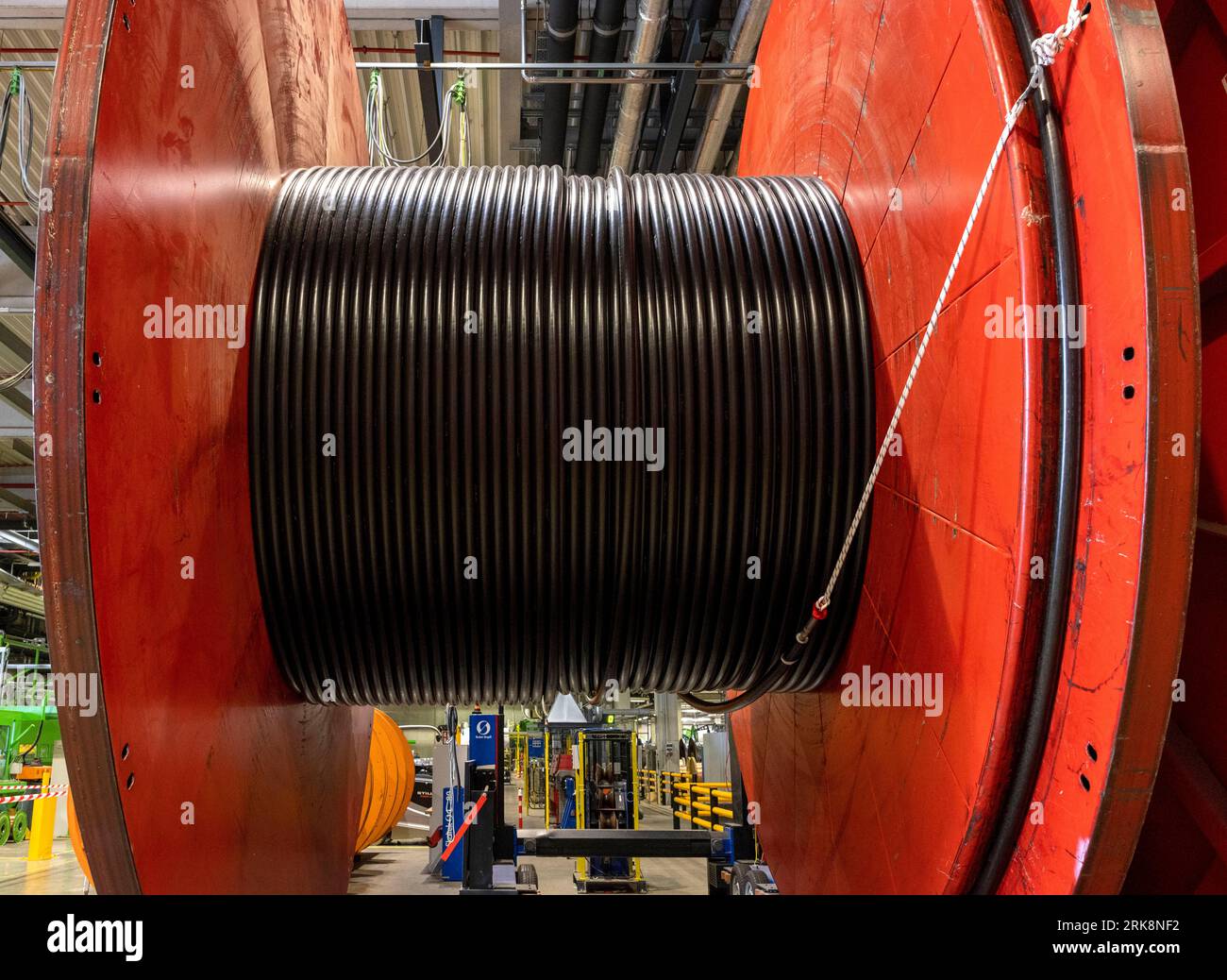 Cologne, Germany. 24th Aug, 2023. Cable drums with coiled sheathed ...
