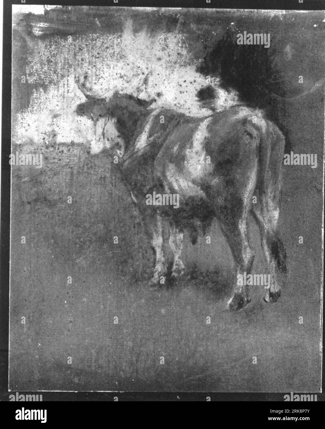 Ein Ochse between circa 1890 and circa 1895 by Arthur Langhammer Stock ...