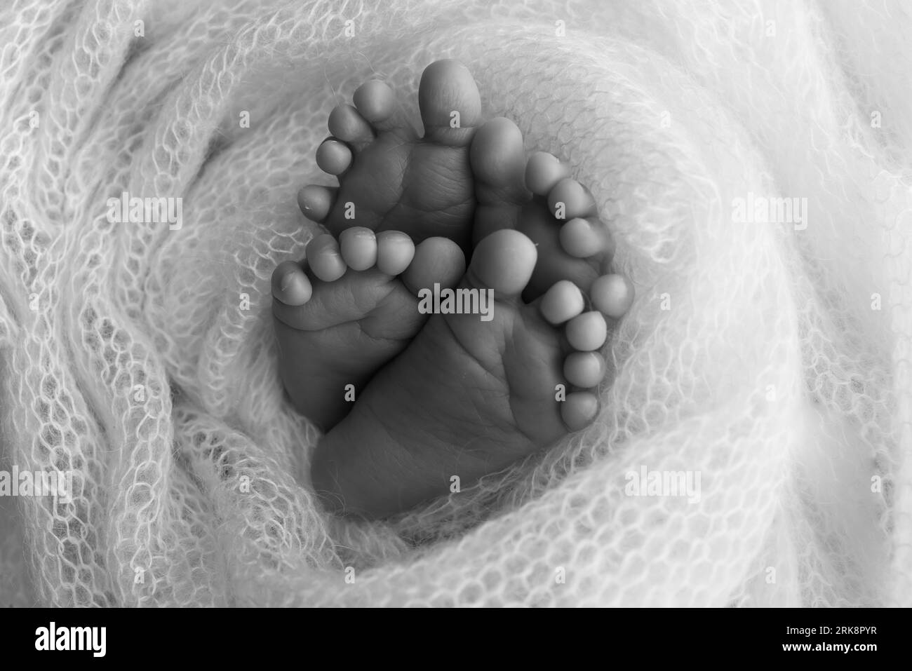 Legs, toes, feet and heels of newborn twins. Studio macro photography ...