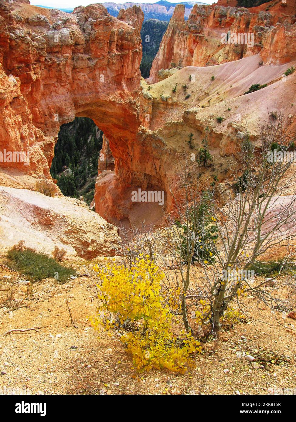 The Natural Arch and rock hoodoos at Natural Bridge Viewpoint in Bryce ...