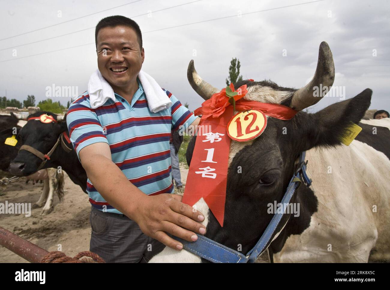 Chenggang hi-res stock photography and images - Alamy