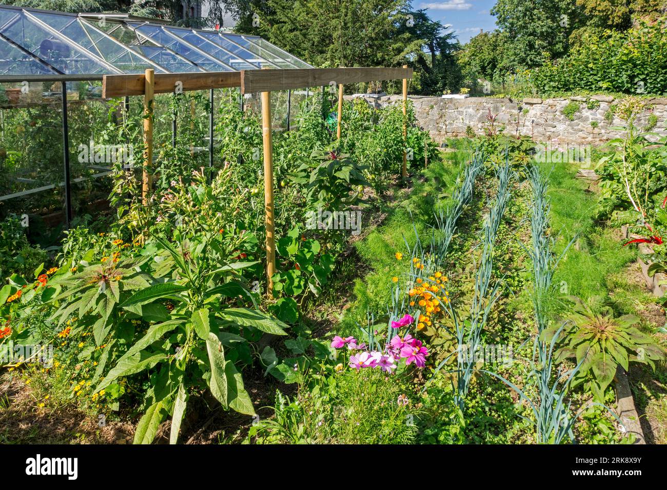 Kitchen garden with greenhouse hi-res stock photography and images - Alamy