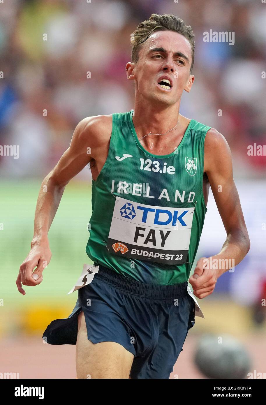 Brian fay 2023 hi-res stock photography and images - Alamy