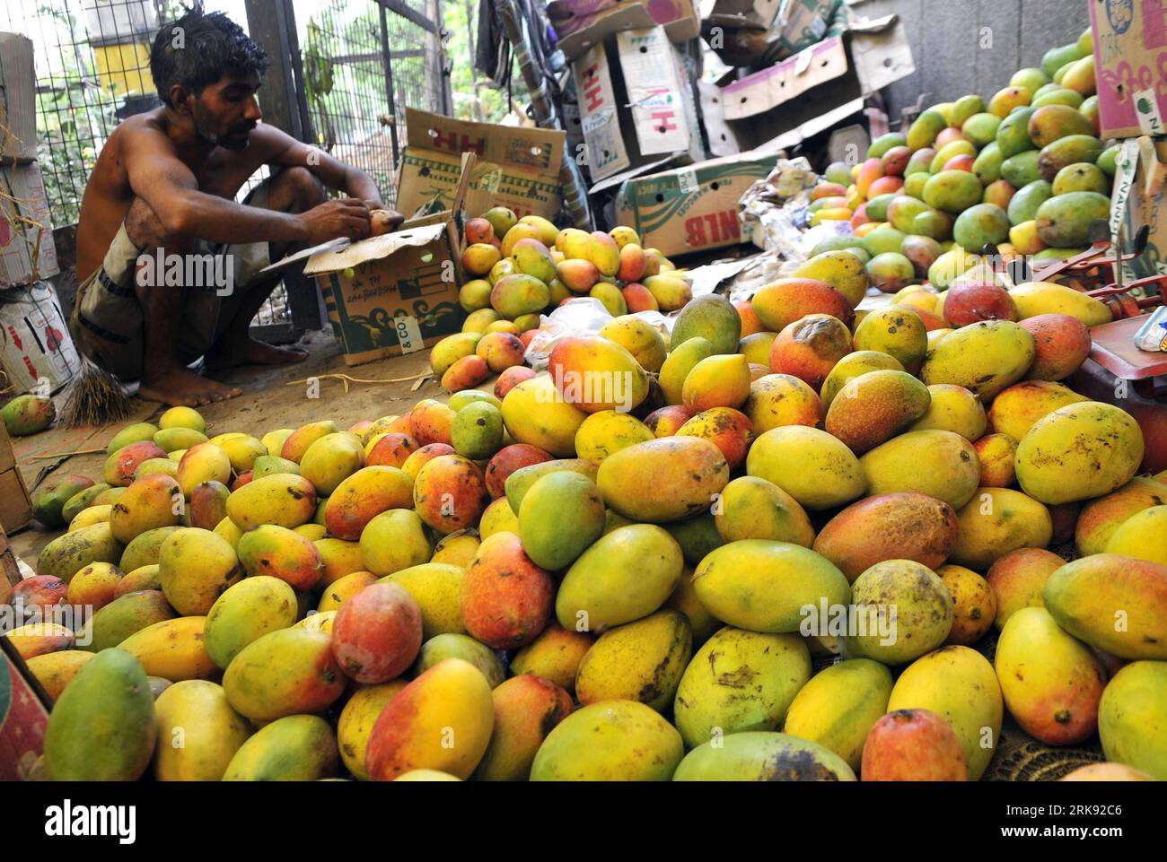 Global mango output hi-res stock photography and images - Alamy