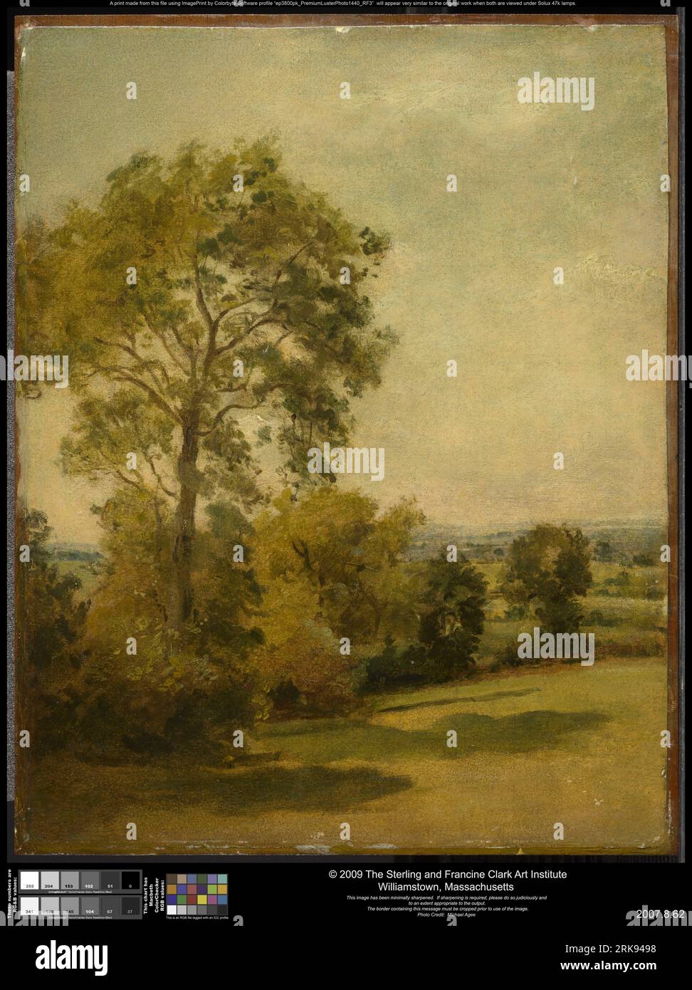 Tree in a Landsdcape circa 1850 by Lionel Bicknell Constable Stock ...
