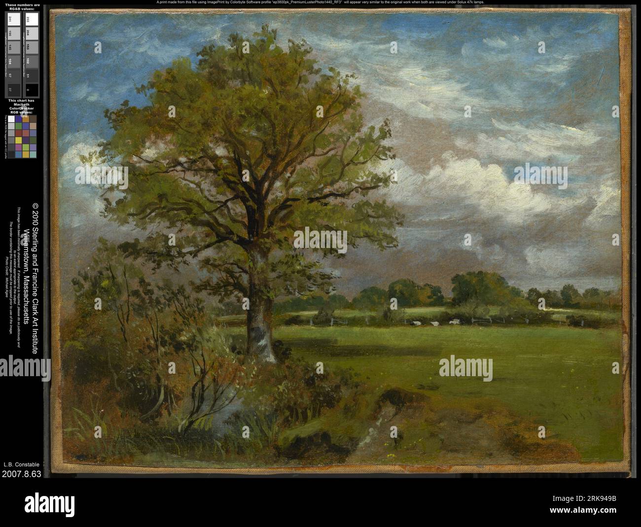 Tree in a Meadow circa 1850 by Lionel Bicknell Constable Stock Photo ...