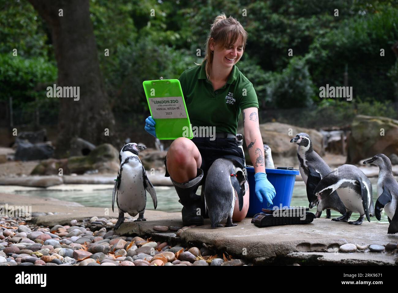 Zookeepers at the conservation zoos spend hours throughout the year ...