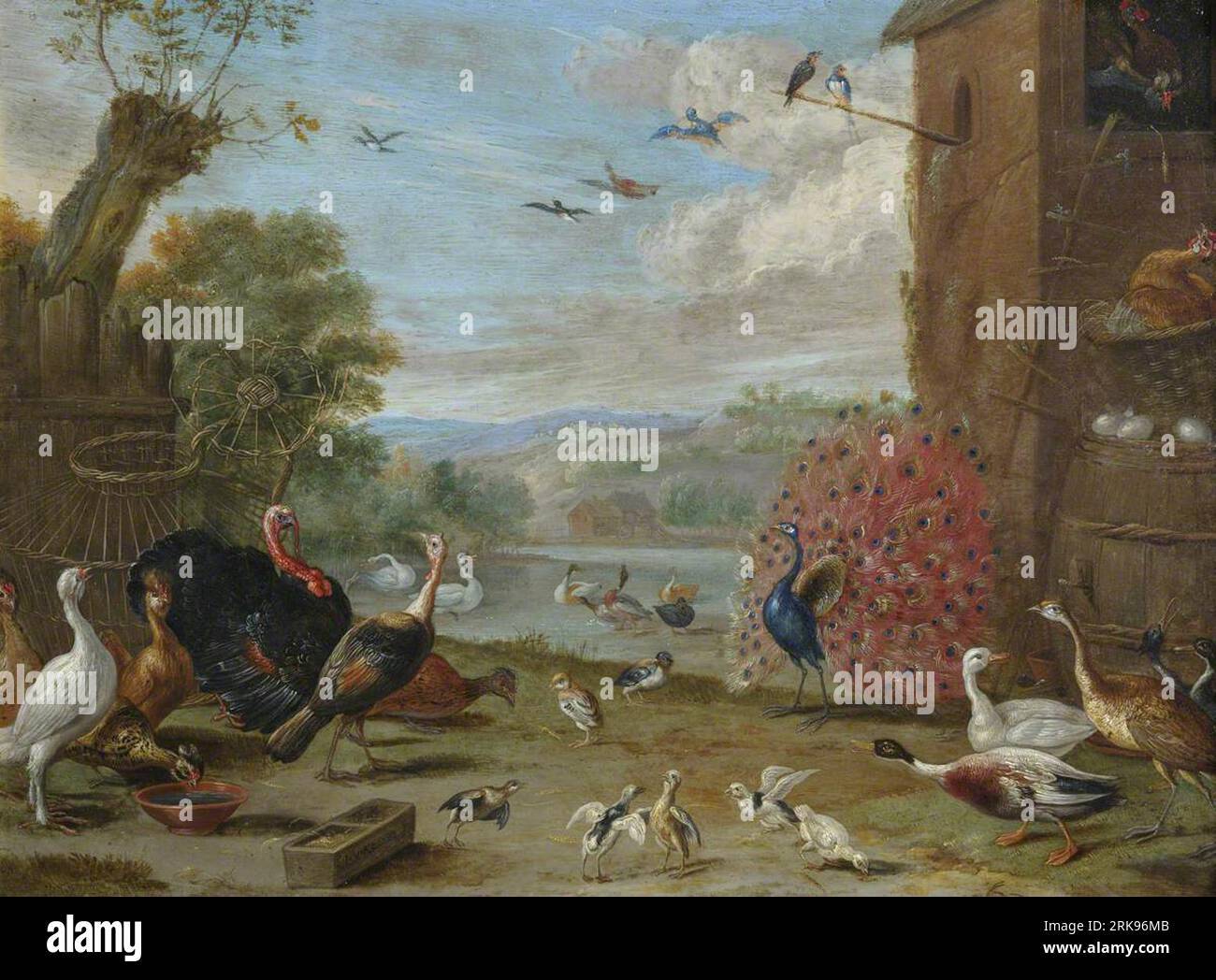 Jan van kessel birds hi-res stock photography and images - Alamy