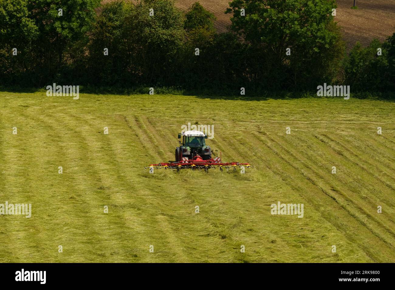 Tractor turns over freshly cut hay for drying. View from above ...