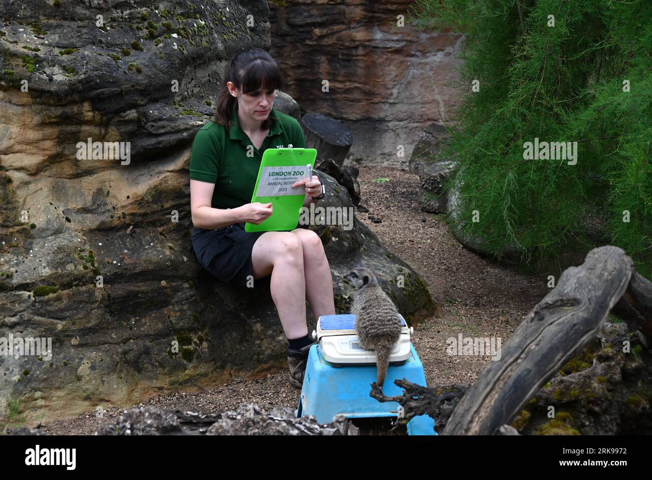 Zookeepers at the conservation zoos spend hours throughout the year ...