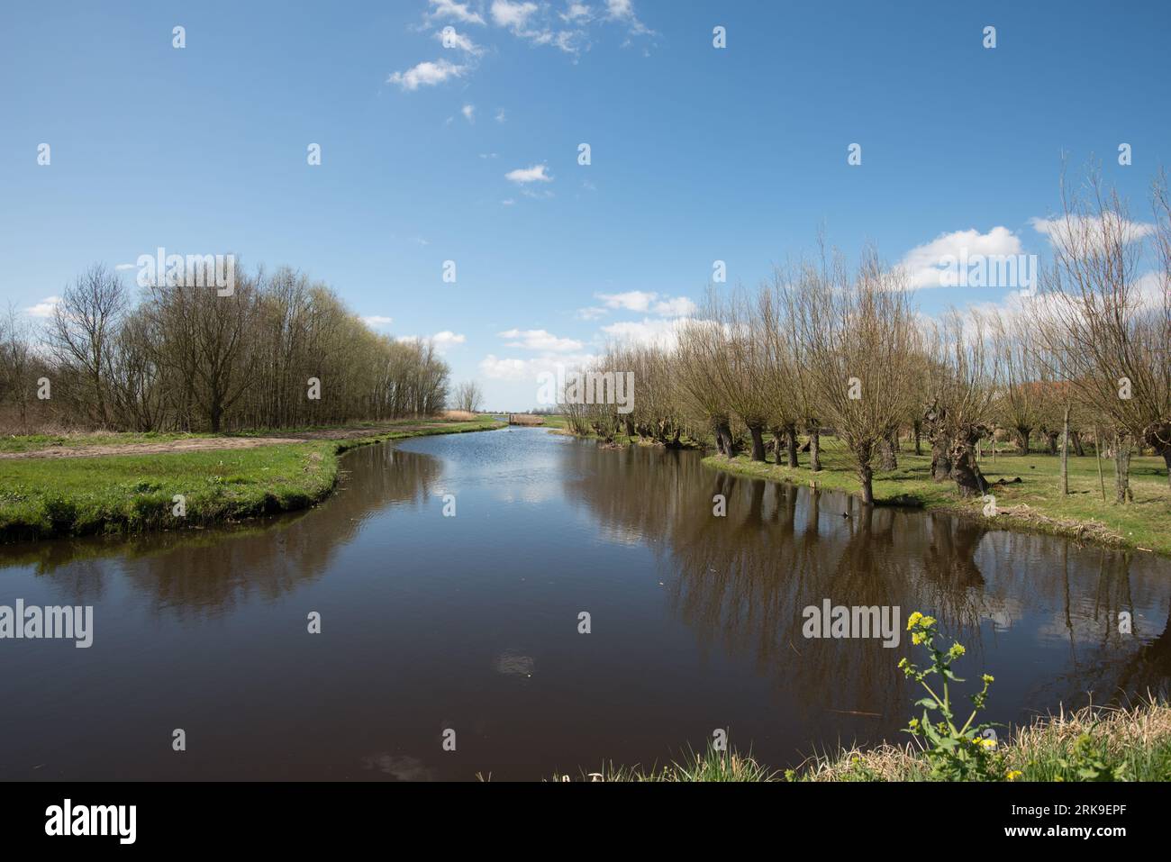 Beautiful landscape park, called Het Abtwoudse Bos, on the border of ...