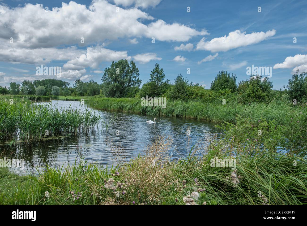 Beautiful landscape park, called Het Abtwoudse Bos, on the border of ...