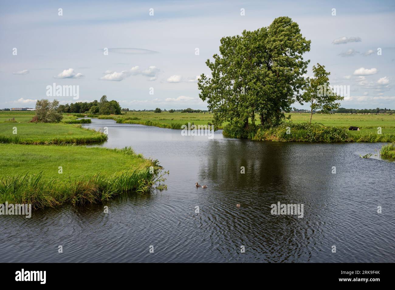 Green lawns and reflecting canals of the Reeuwijkse Plassen natural ...