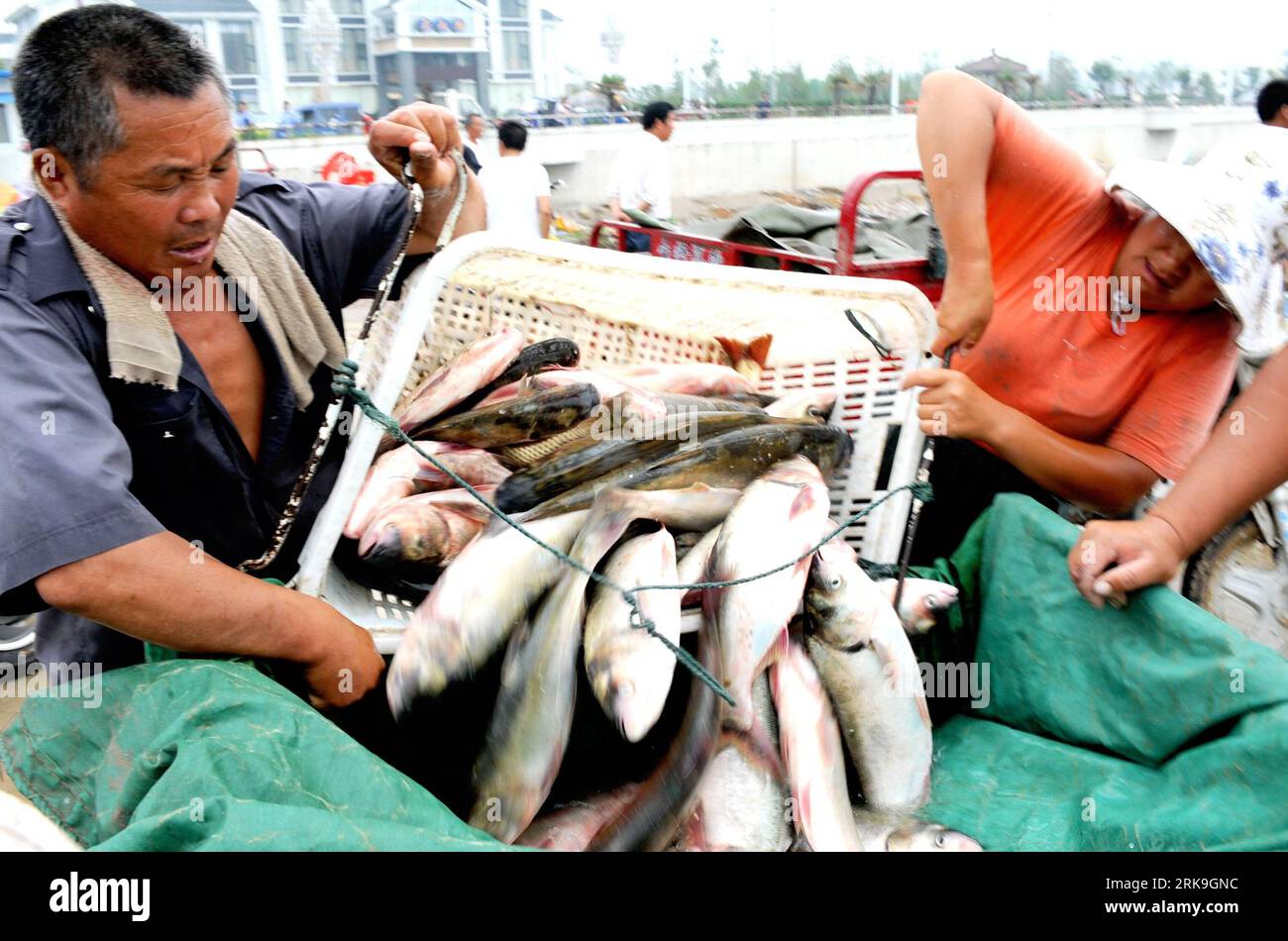 Fishmongers truck hi-res stock photography and images - Alamy