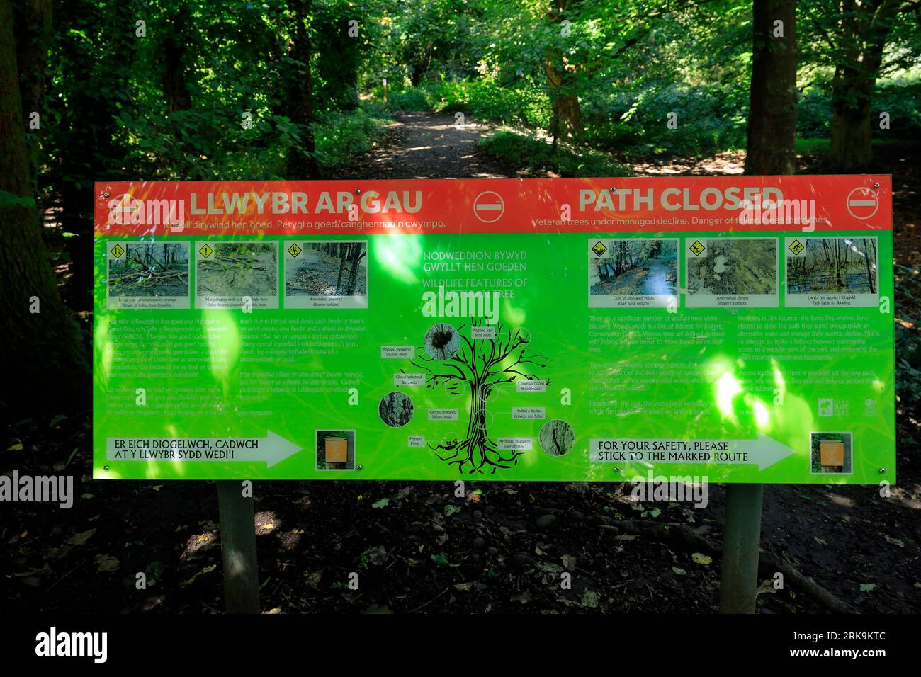 Path closed sign, Blackweir Woodland Wak, Bute Park, Cardiff. Taken ...