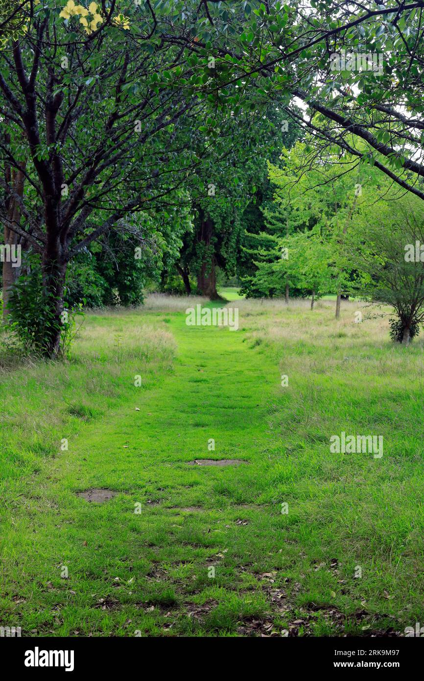 Winding path between trees in Bute Park, Cardiff. Taken August 2023 ...