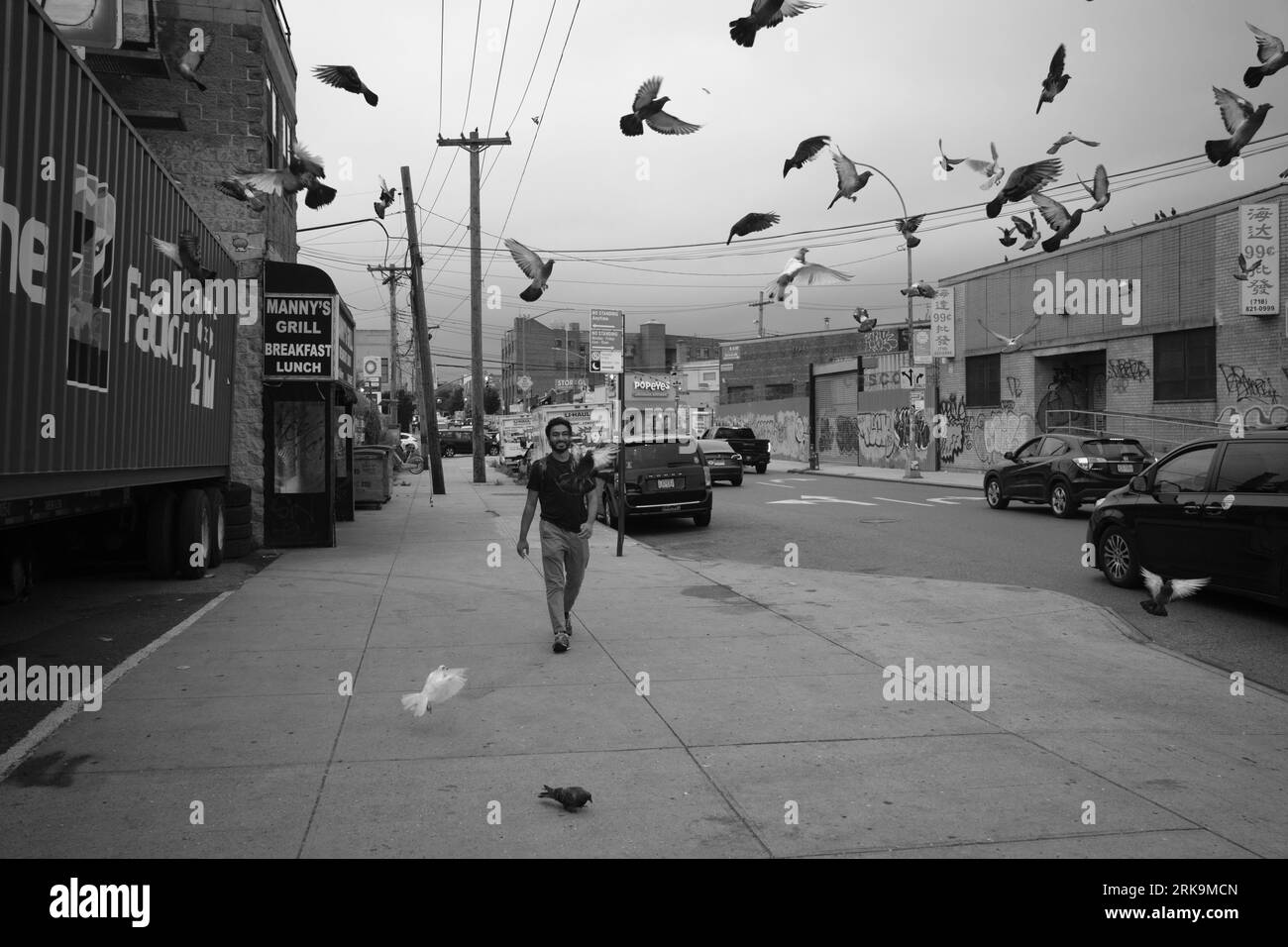 Pigeons new york Black and White Stock Photos & Images - Alamy