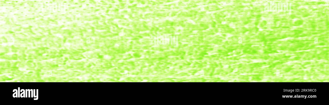 Green textured plain panorama background illustration, Simple Design ...