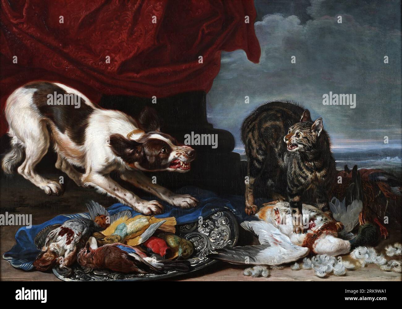 David de coninck dog hi-res stock photography and images - Alamy